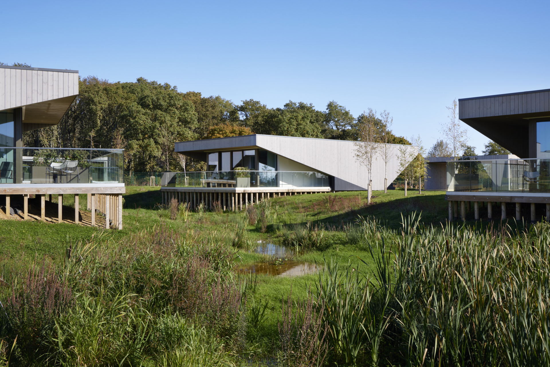 Escapade Silverstone | Russwood Case Study | Lunawood